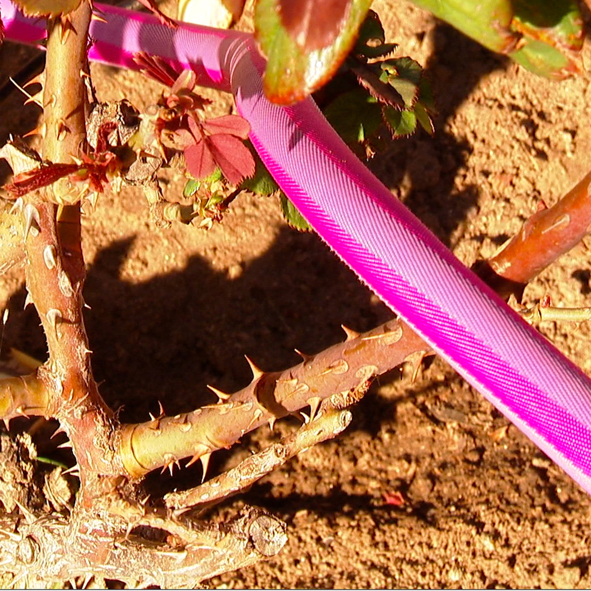Heavy Duty HydroHose – Belmont Garden
